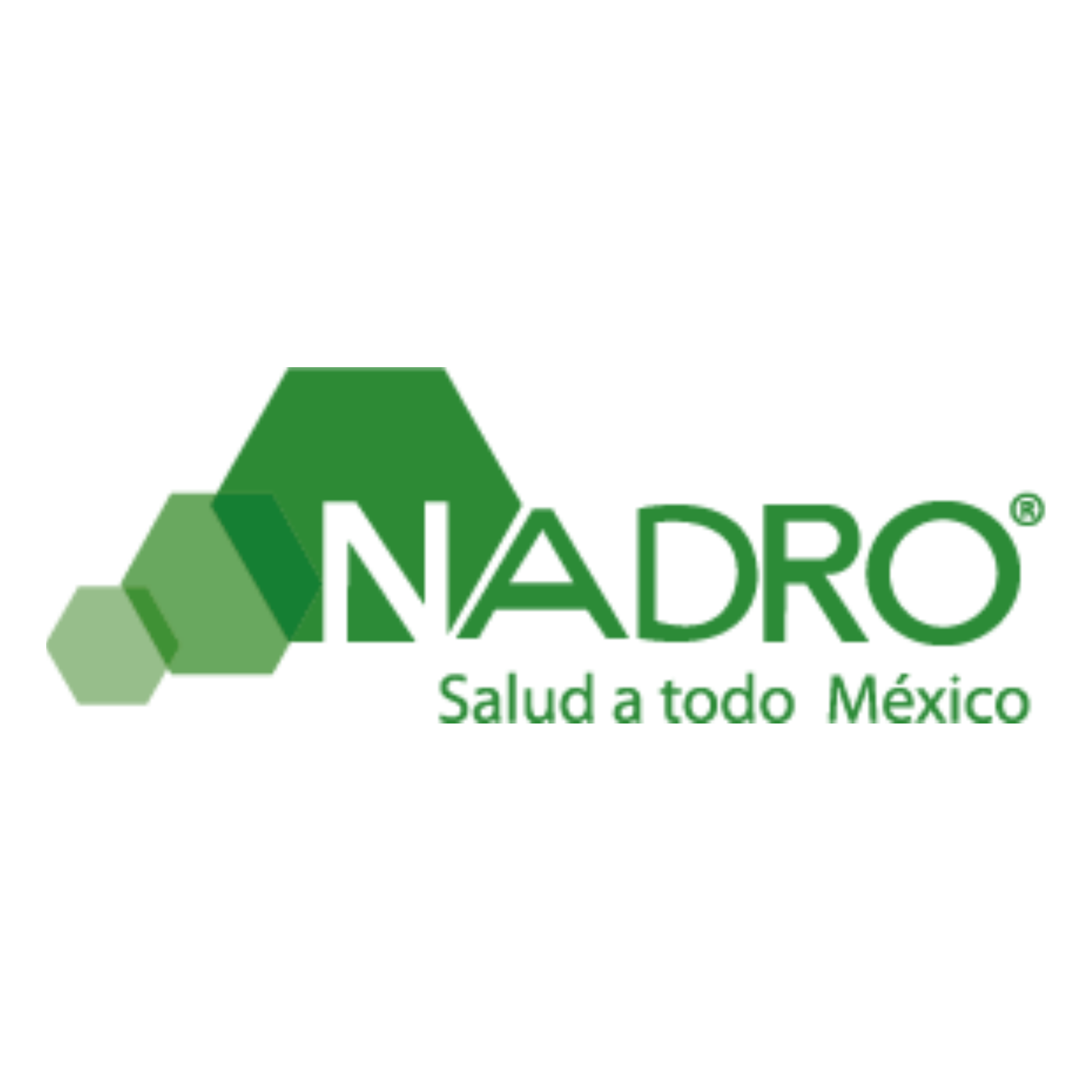 logo_nadro